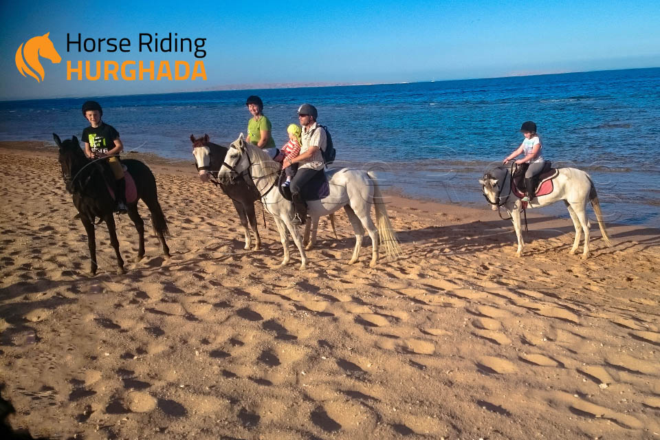 How to Choose the Perfect Horse Riding Tour in Hurghada - Horse Riding ...