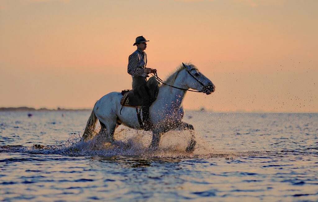 Unveiling the Fundamentals of Horse Riding: A Beginner's Guide - Horse ...