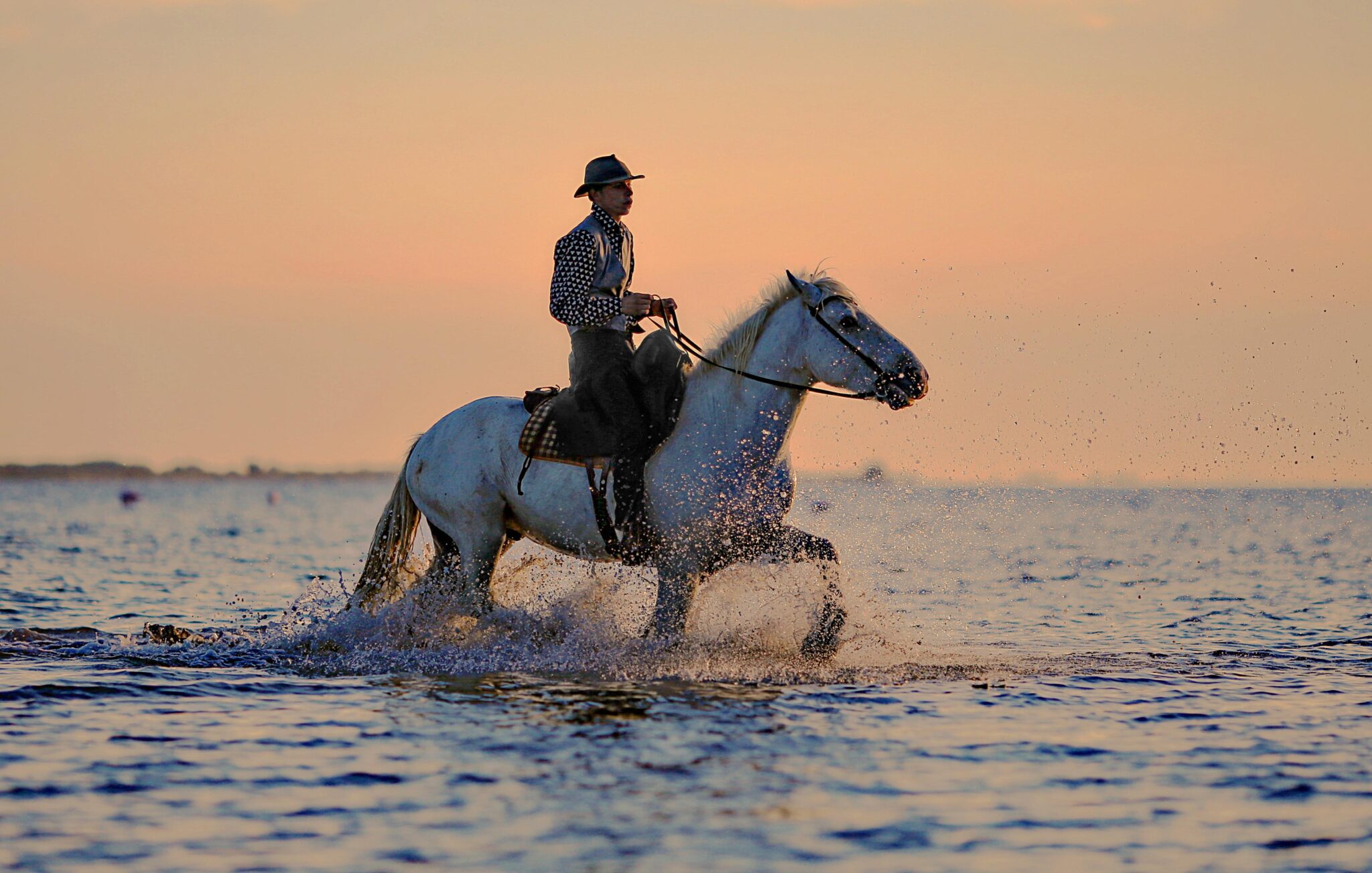 Unveiling the Fundamentals of Horse Riding: A Beginner's Guide - Horse ...